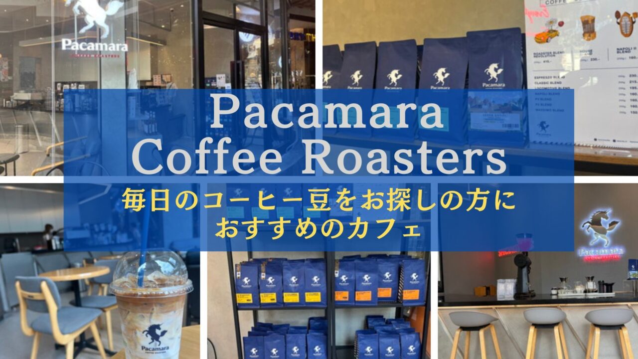 トンロー「Pacamara Coffee Roasters」毎日のコーヒー豆をお探しの方におすすめのカフェ | バンコクLABタイ語学校